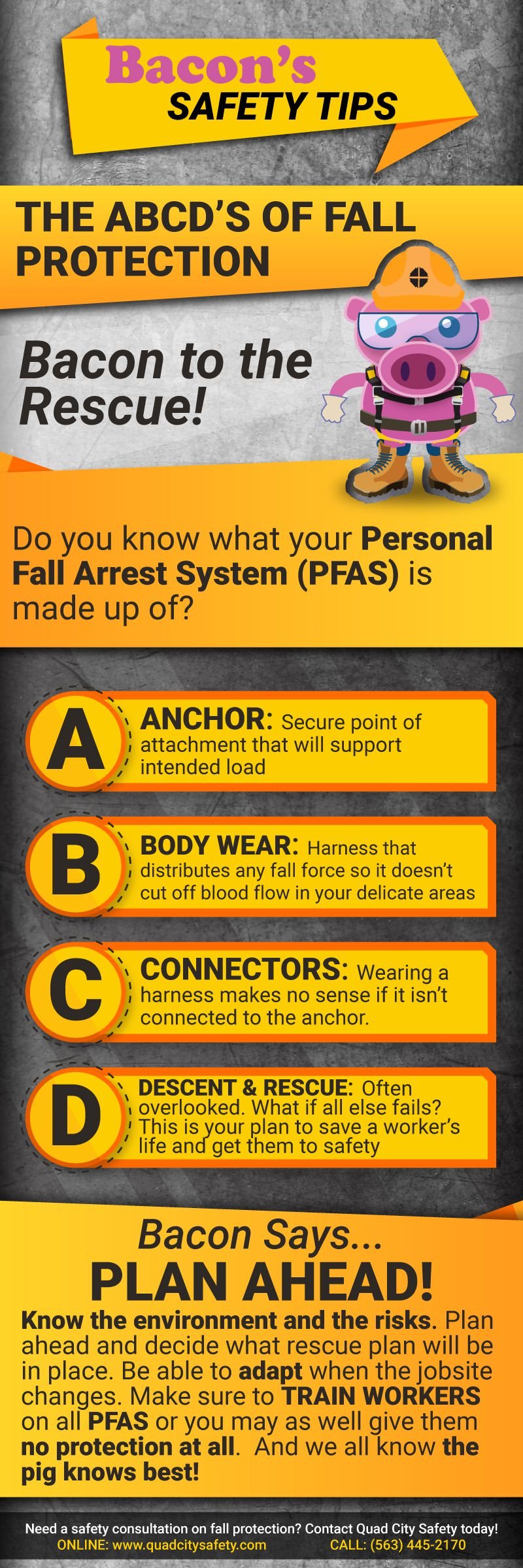 Rescue & Fall Protection...know your ABCDs: Bacon's Safety Tip